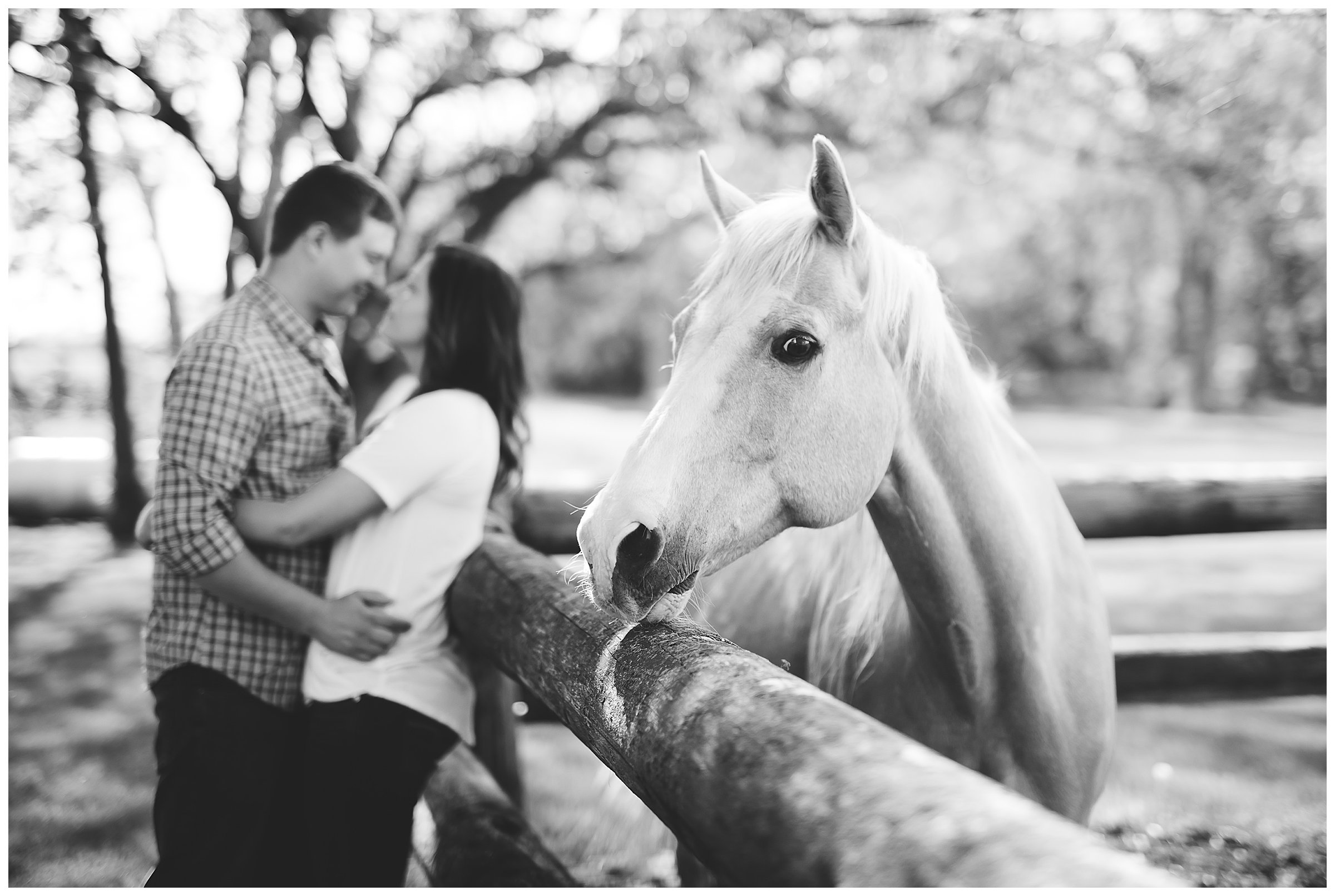 chatsworth-family-farm-engagement-session-horse-country-barn_0145 ...